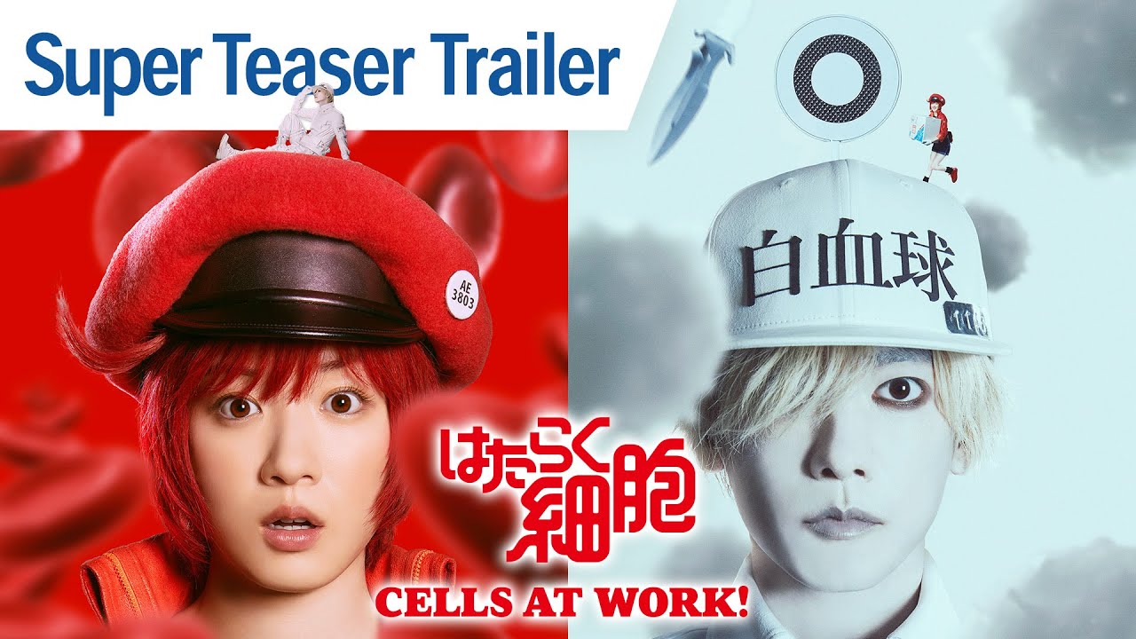 CELLS AT WORK! Super Teaser Trailer - NIHON MAG